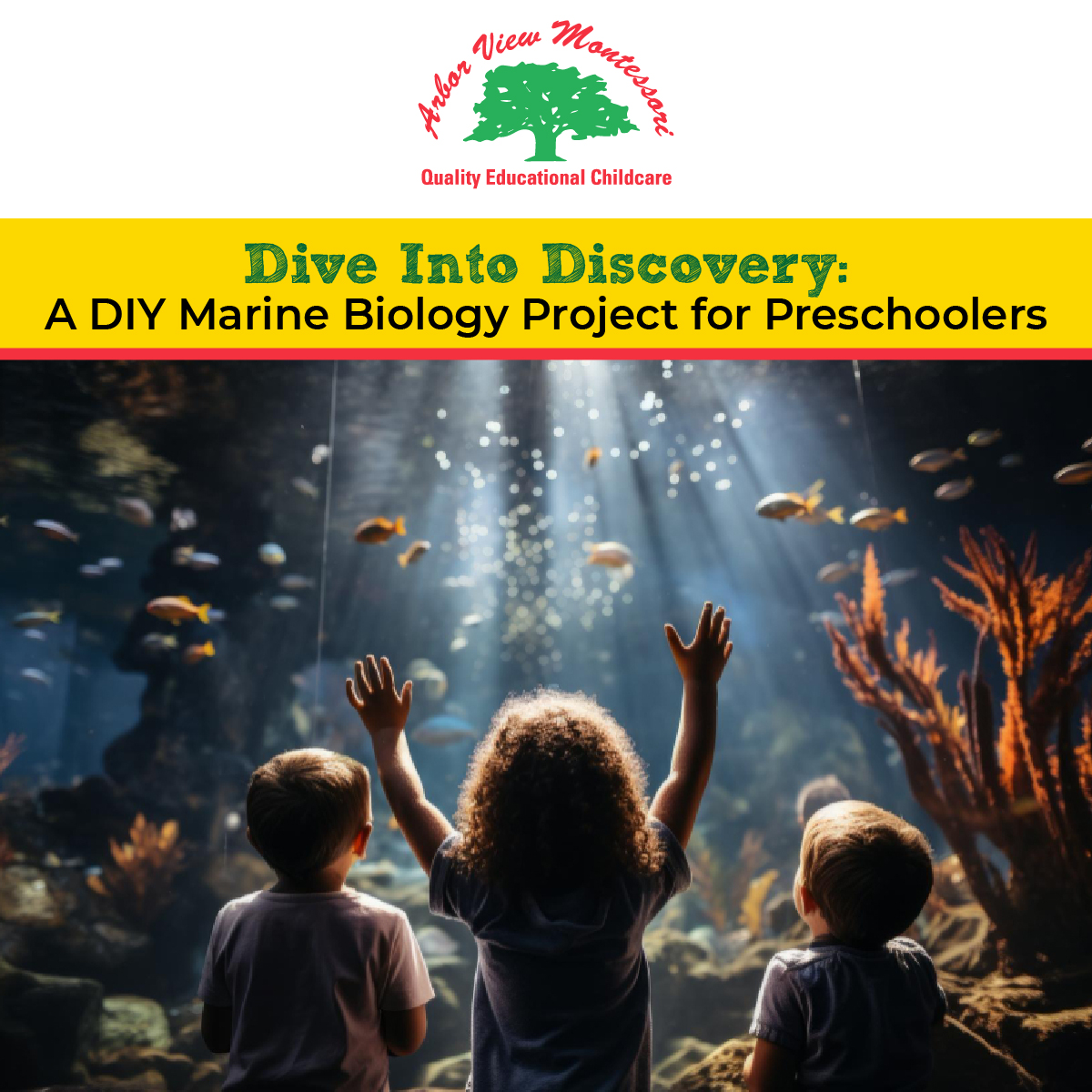Dive Into Discovery: A DIY Marine Biology Project for Preschoolers ...